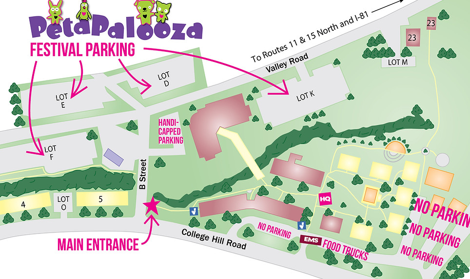 Info | Petapalooza PA